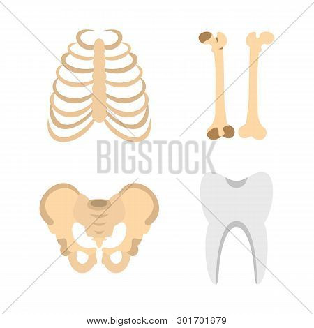 Human Bones Icon Set. Image & Photo (Free Trial) | Bigstock