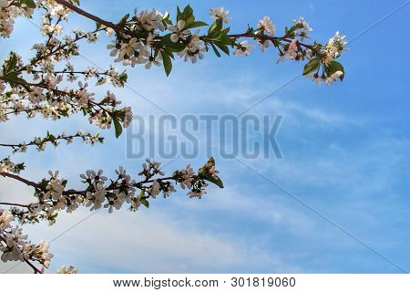 Warm Spring Day, Image & Photo (Free Trial) | Bigstock