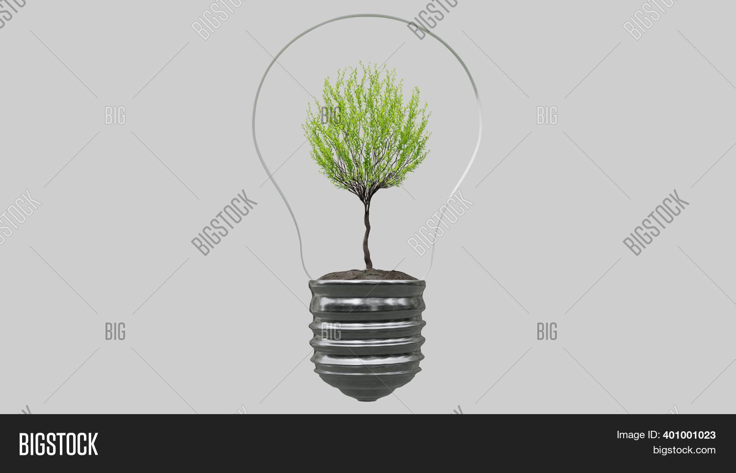 Light Bulb Tree Inside Image & Photo (Free Trial) | Bigstock