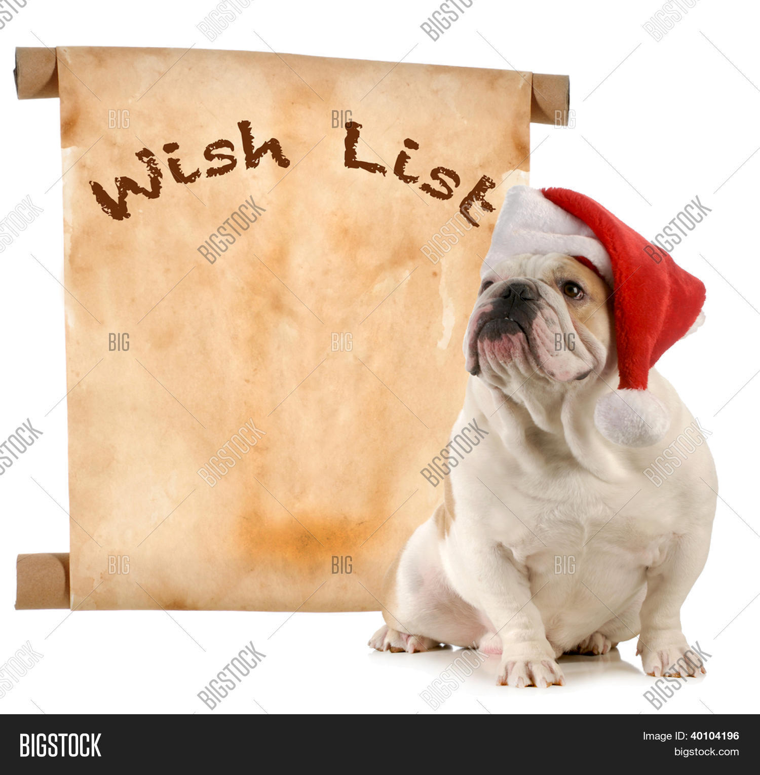 Pet Christmas Wish Image & Photo (Free Trial) | Bigstock