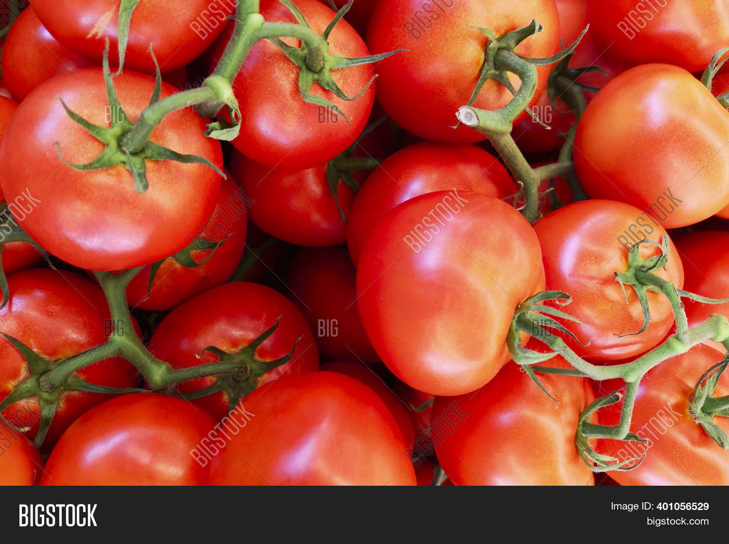 Delicious Red Tomatoes Image & Photo (Free Trial) | Bigstock
