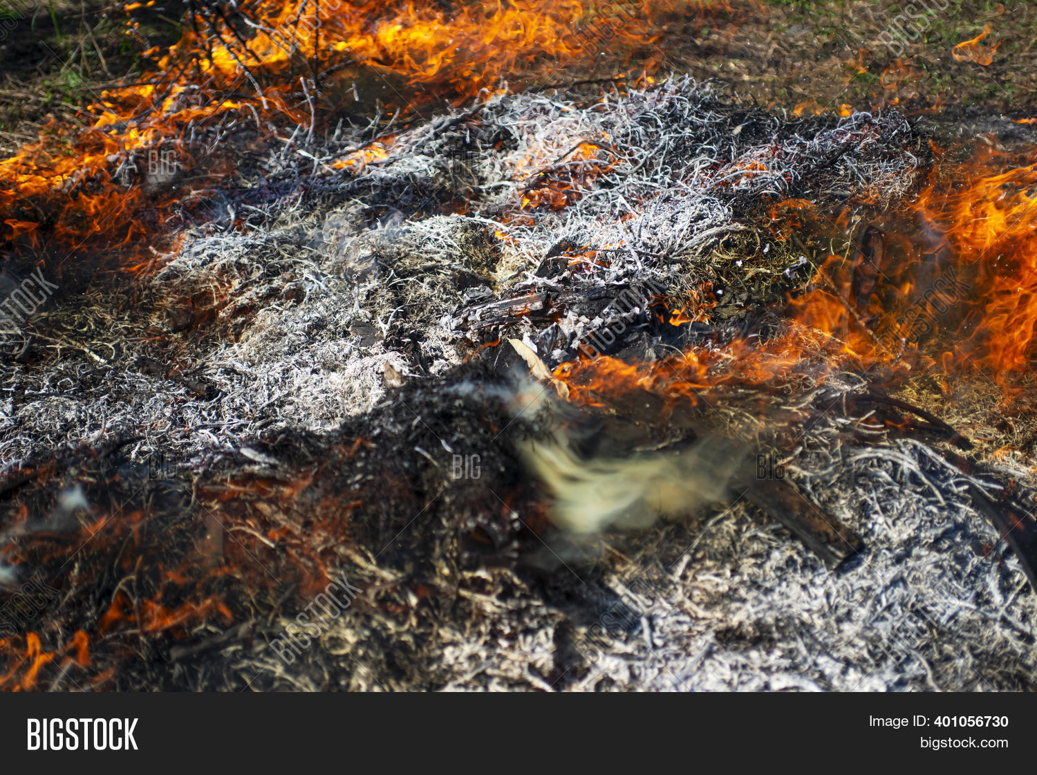 Wildfire. Disaster Image & Photo (Free Trial) | Bigstock