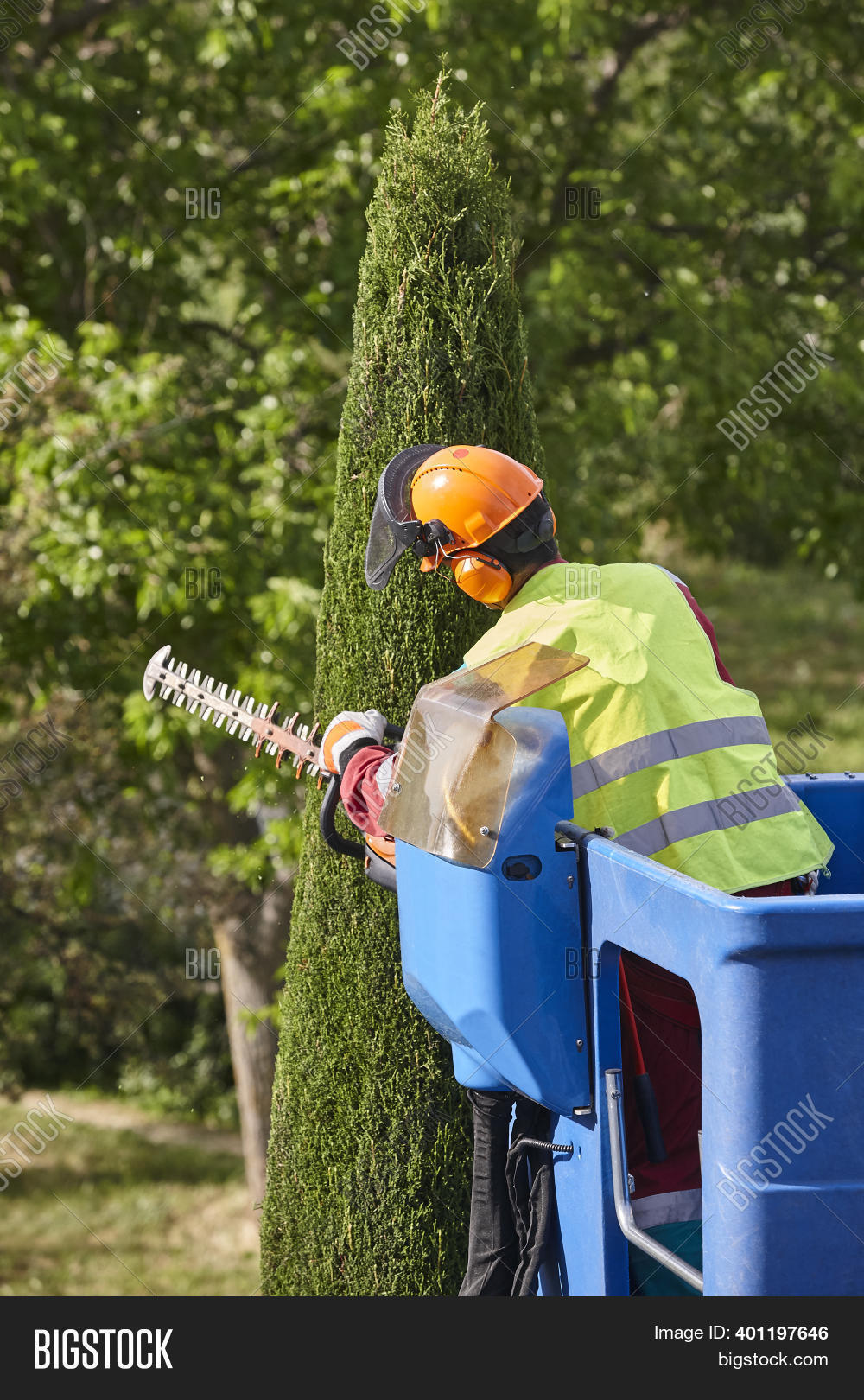 Gardener Pruning Image & Photo (Free Trial) | Bigstock