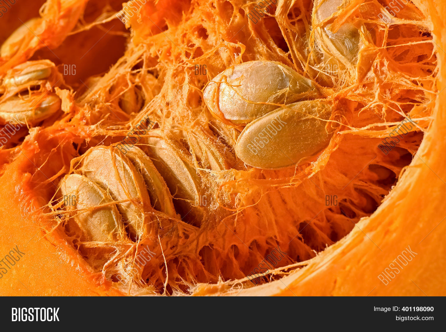 Colorful Pumpkin Pulp Image & Photo (Free Trial) | Bigstock