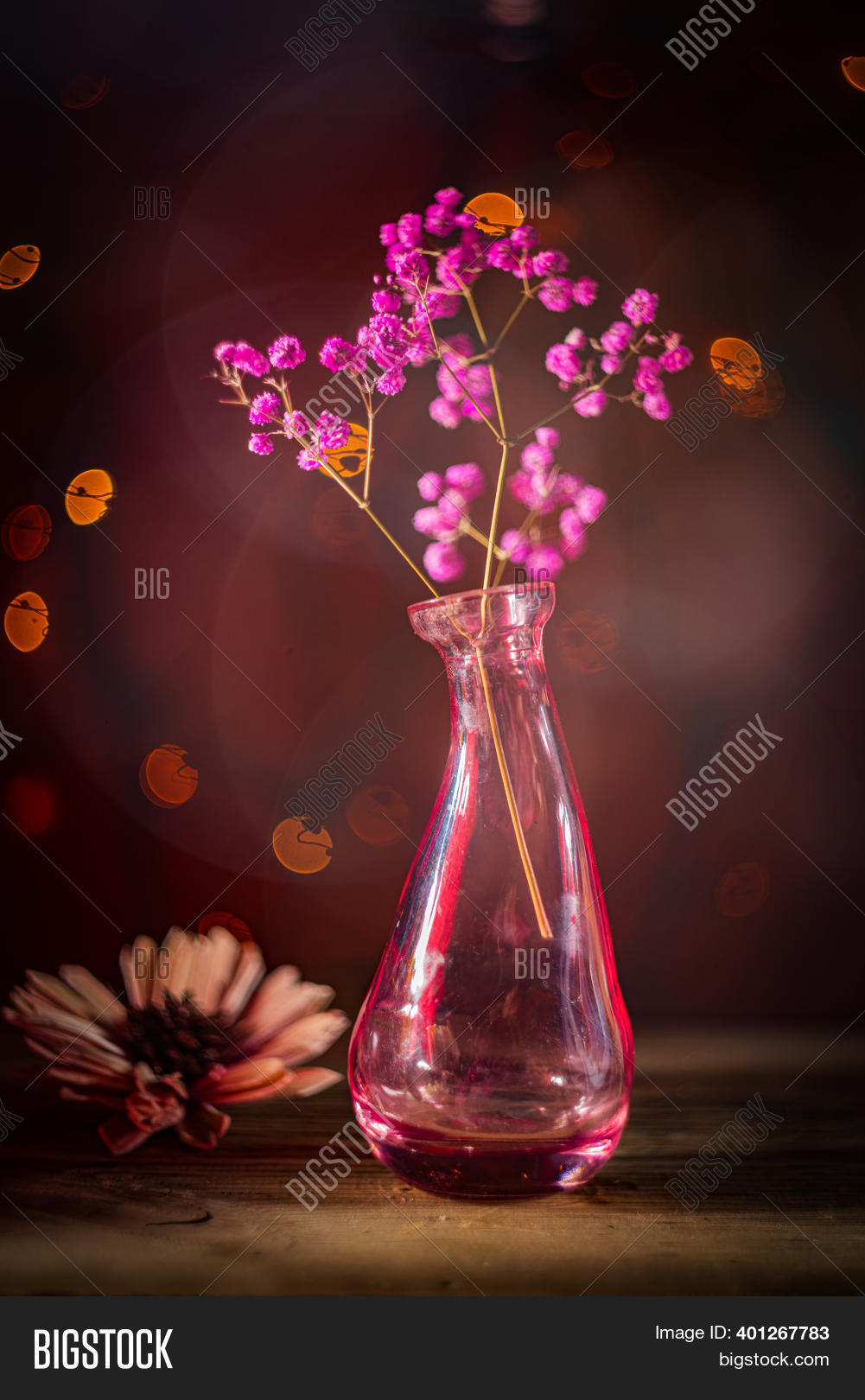 Still Life- Dark Image & Photo (Free Trial) | Bigstock