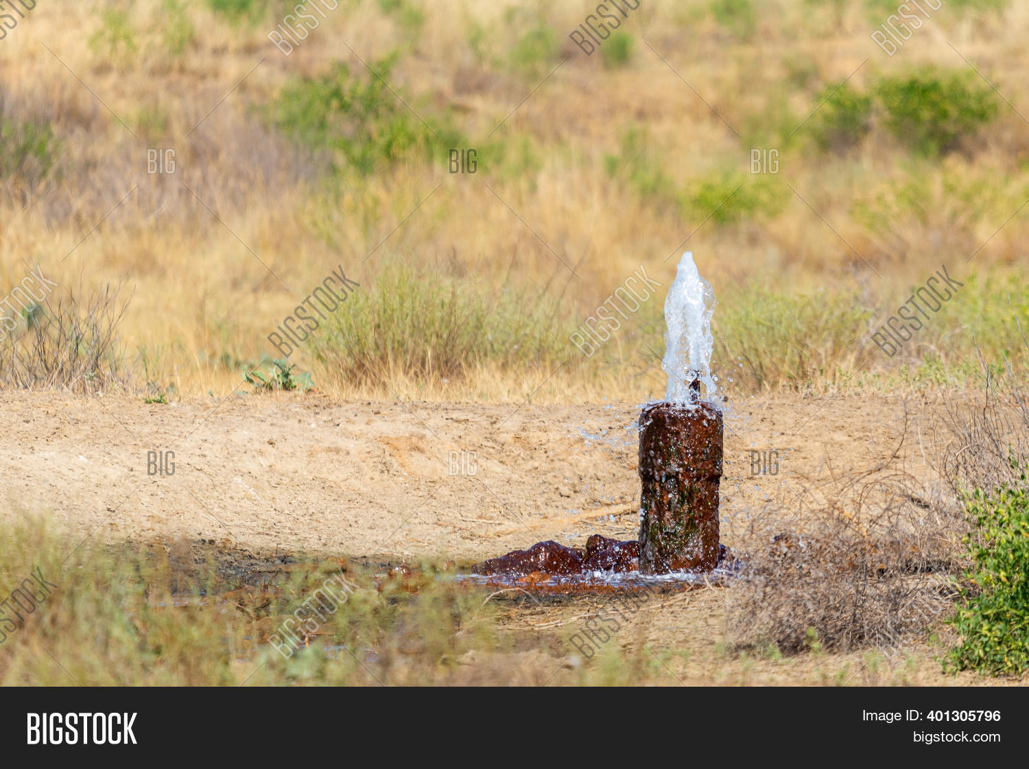 Water Spring Steppe Image & Photo (Free Trial) | Bigstock