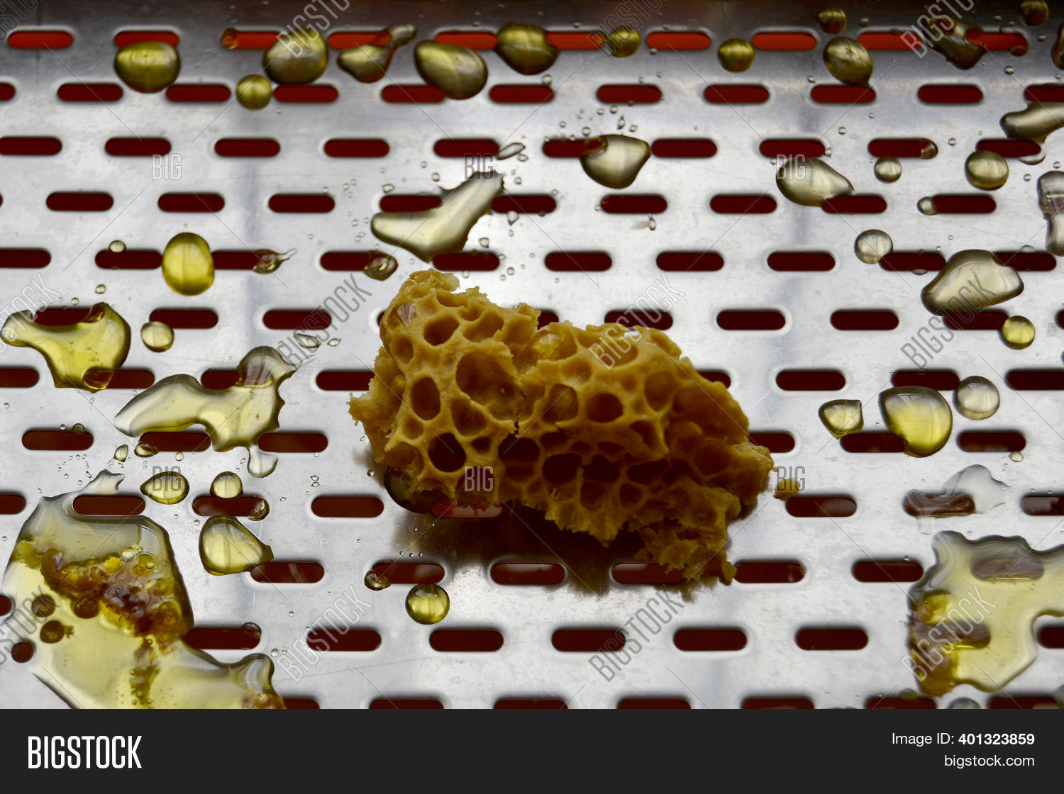 Drop Bee Honey Drip Image & Photo (Free Trial) | Bigstock