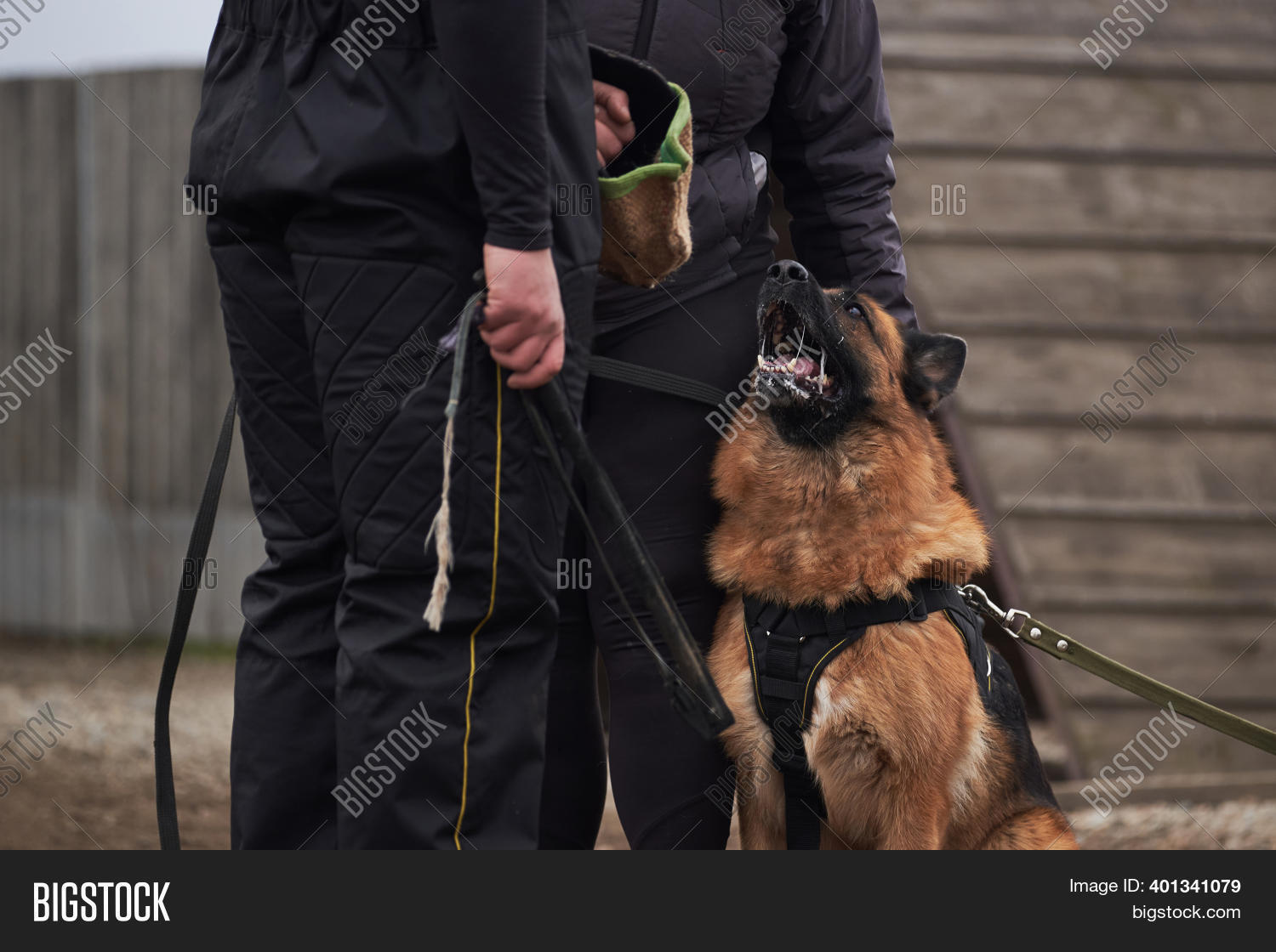 Protective Training Image & Photo (Free Trial) | Bigstock