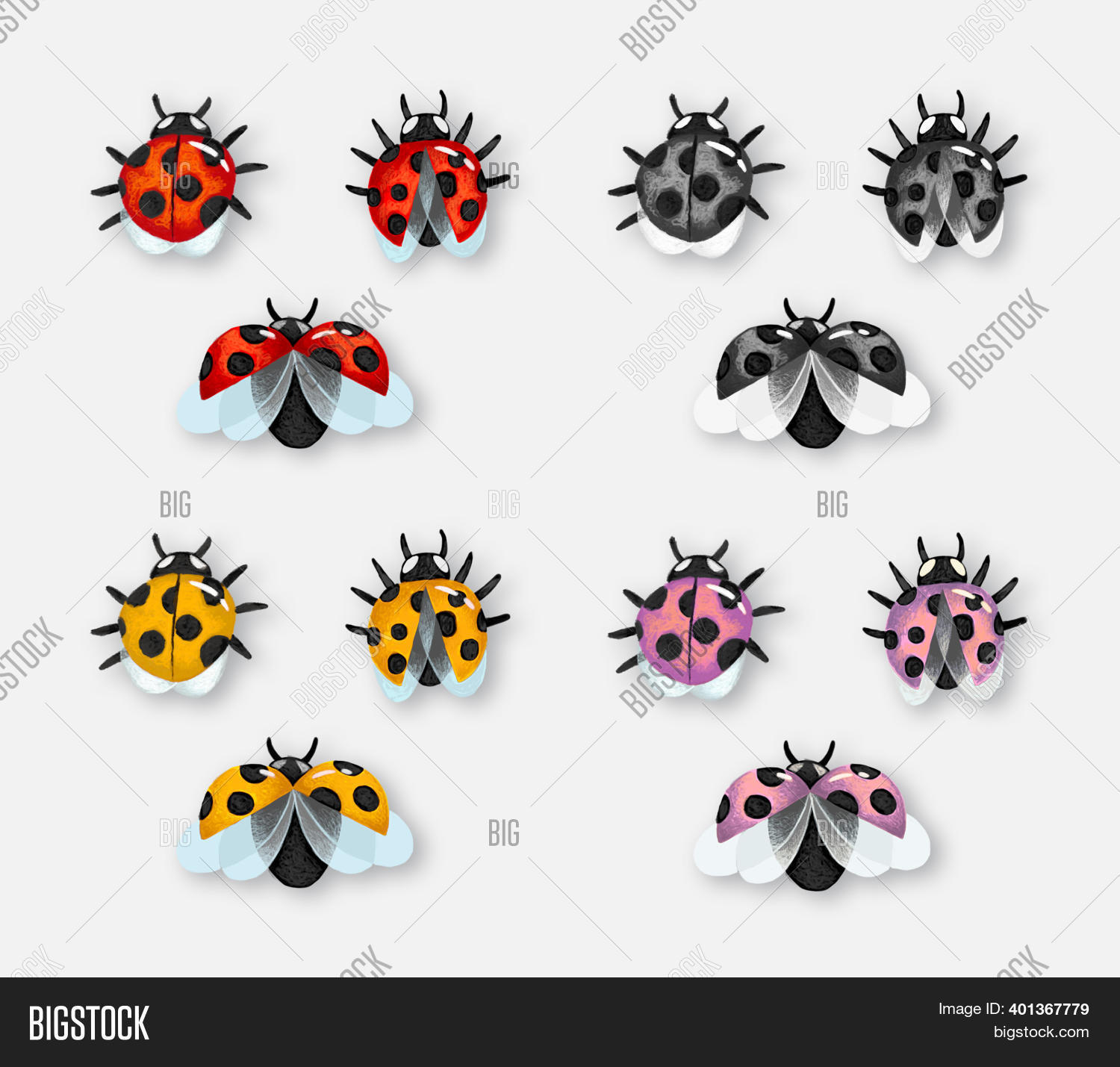 Ladybug Set: Red, Image & Photo (Free Trial) | Bigstock