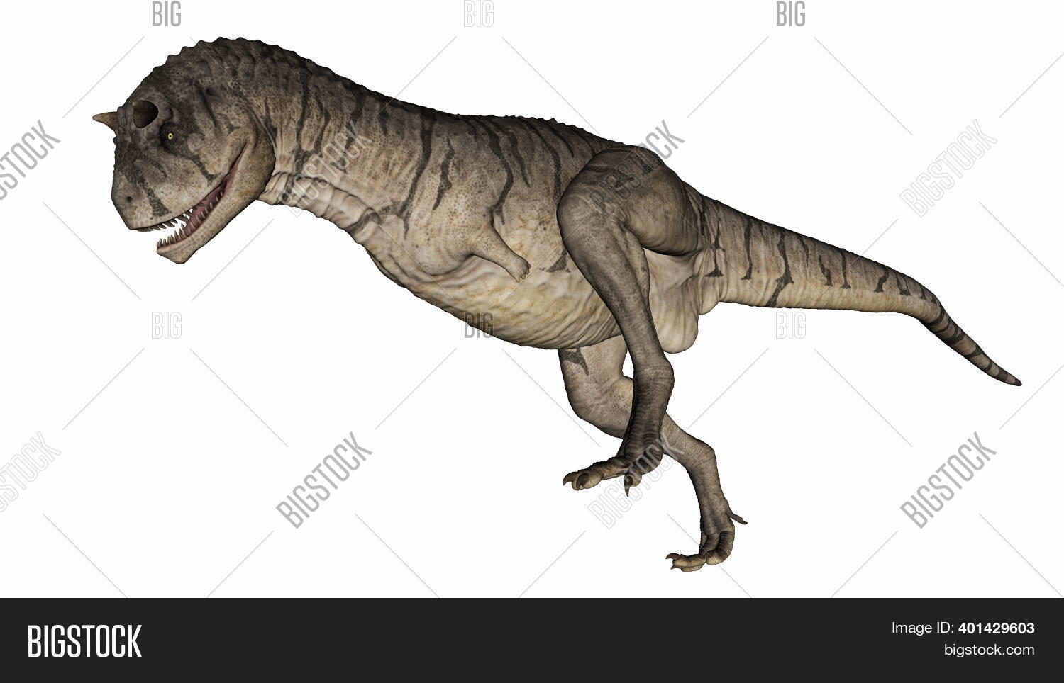 Carnotaurus Dinosaur Image & Photo (Free Trial) | Bigstock