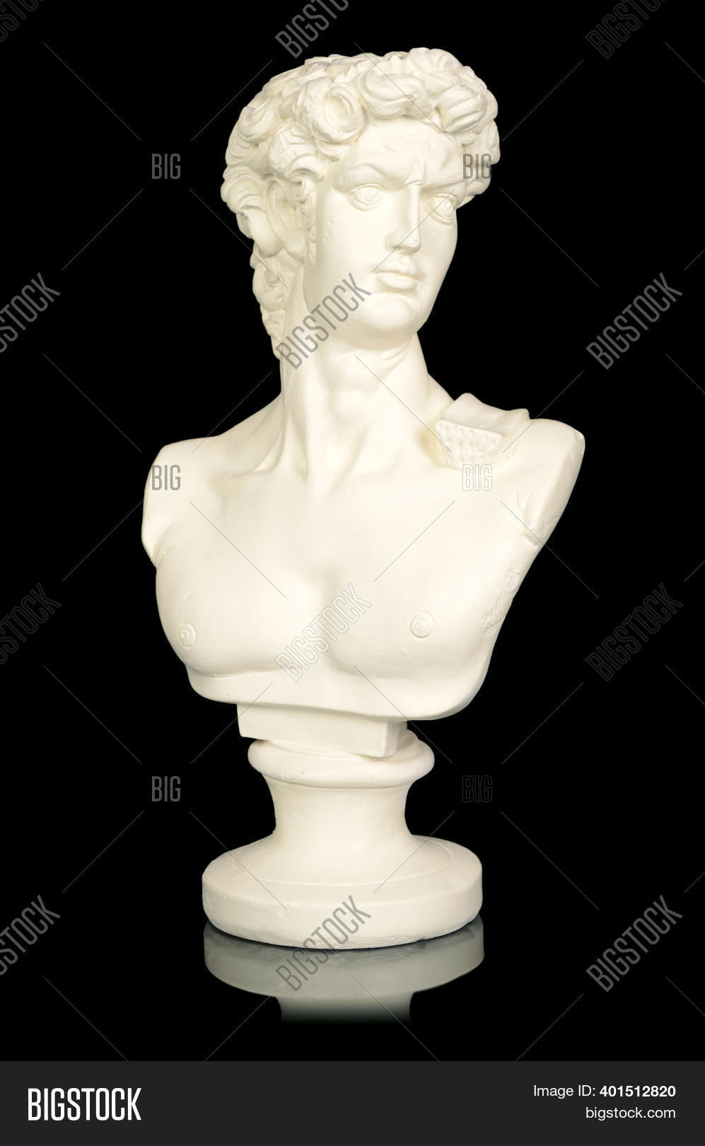 Isolated Human Bust Image & Photo (Free Trial) | Bigstock
