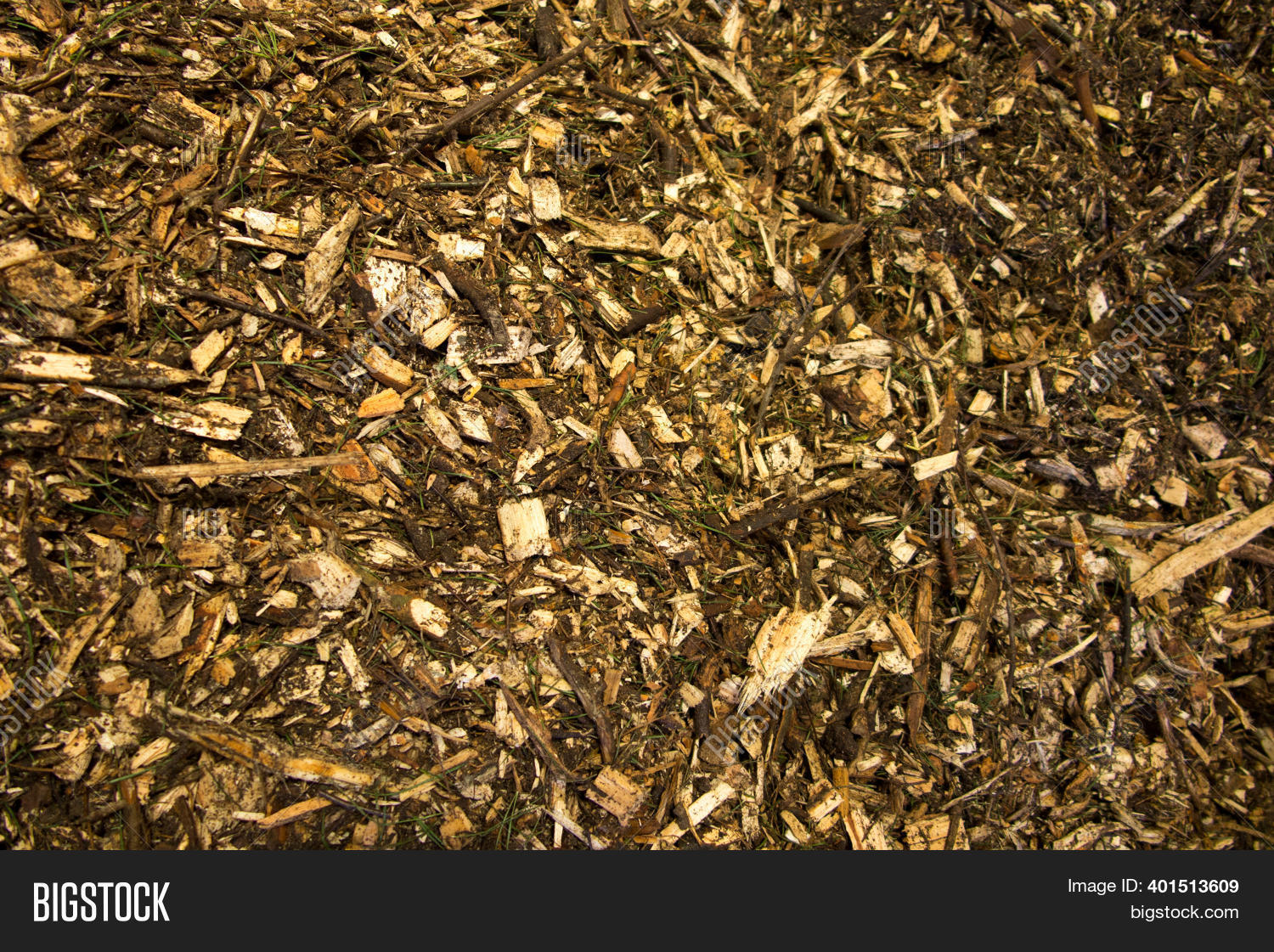 Biomass Form Wood Image & Photo (Free Trial) | Bigstock
