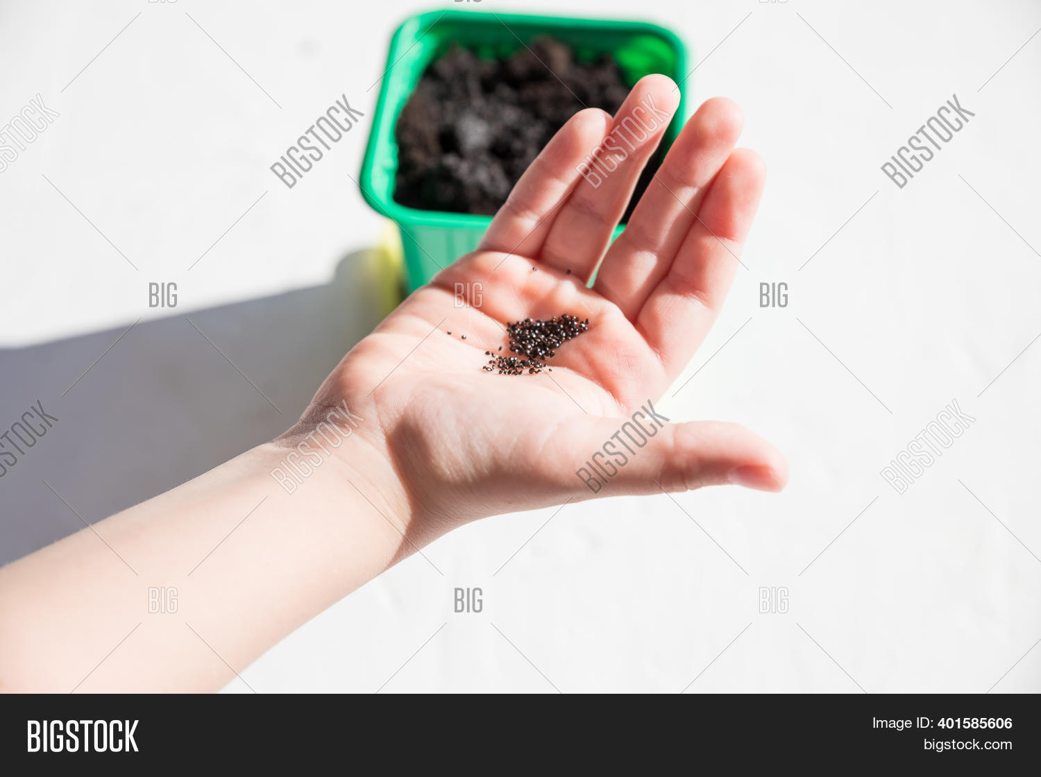 Female Hand Seeding Image & Photo (Free Trial) | Bigstock