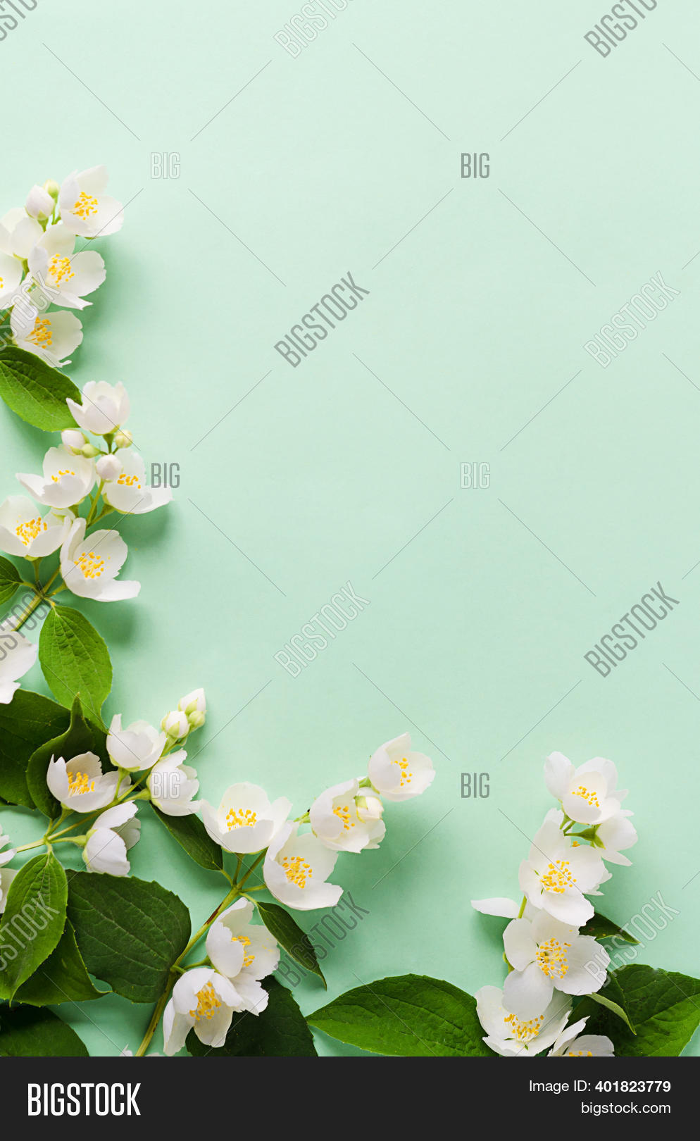 Vertical Frame Flowers Image & Photo (Free Trial) | Bigstock