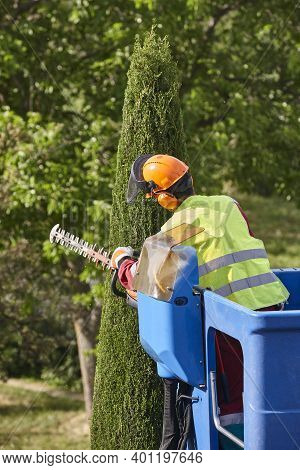 Gardener Pruning Image & Photo (Free Trial) | Bigstock