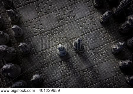 Top Down Portrait Image & Photo (Free Trial) | Bigstock