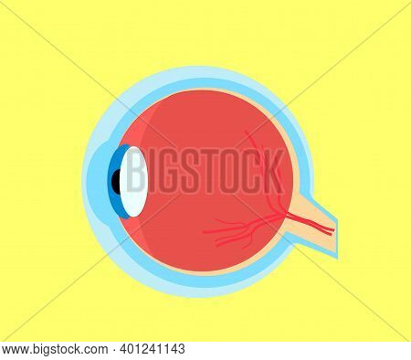 เวกเตอร์และภาพถ่าย (ทดลองใช้ฟรี) | Bigstock