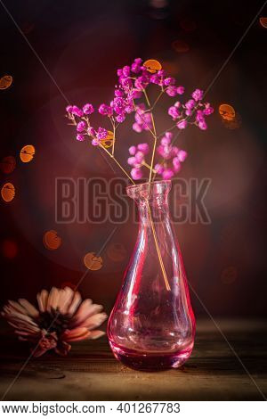 Still Life- Dark Image & Photo (Free Trial) | Bigstock