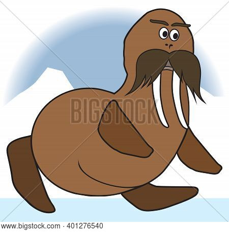 Cartoon Walrus Big Vector & Photo (Free Trial) | Bigstock