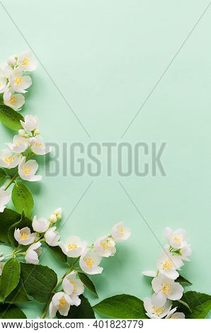 Vertical Frame Flowers Image & Photo (Free Trial) | Bigstock