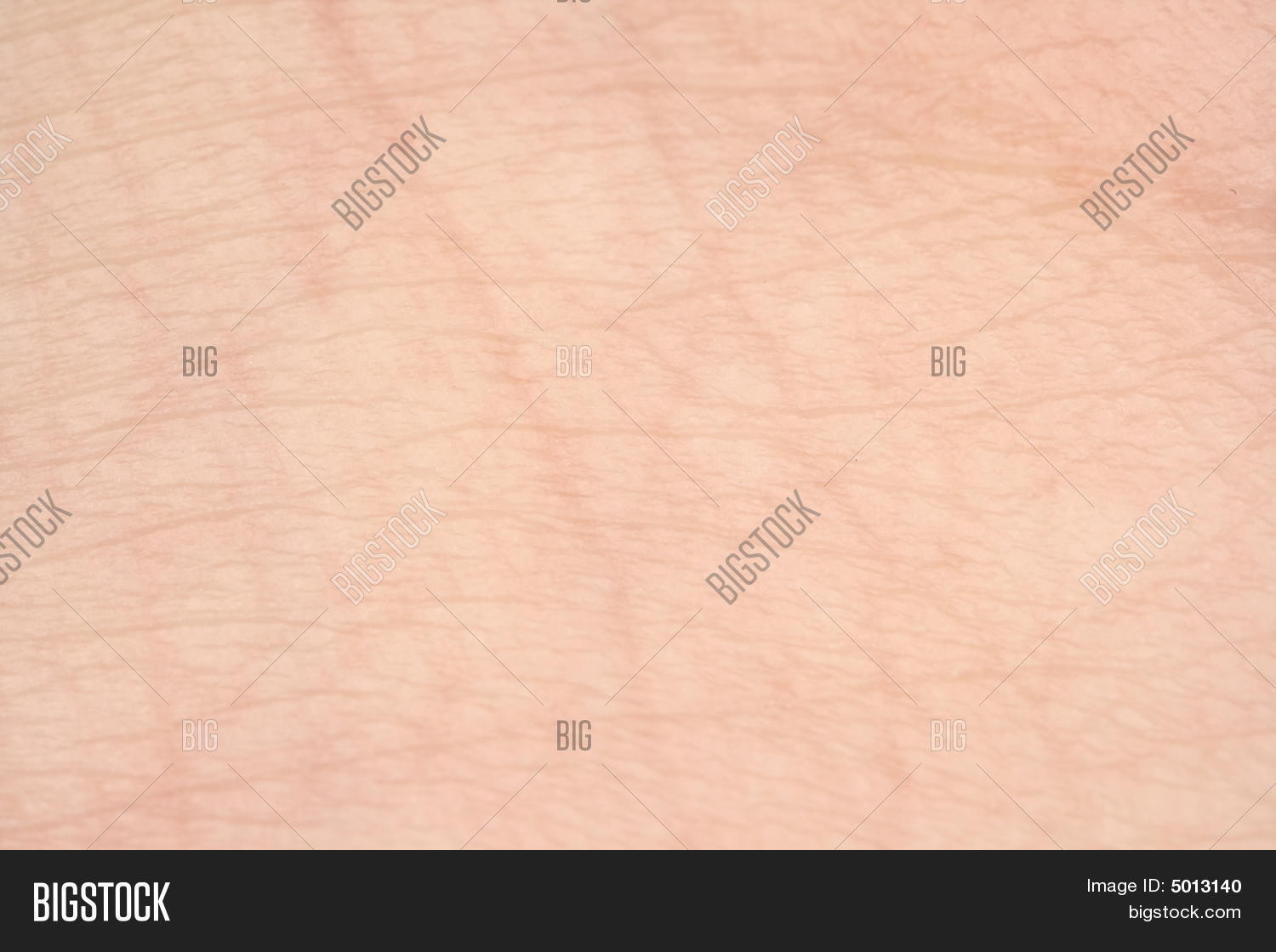 Human Skin Texture Image & Photo (Free Trial) | Bigstock