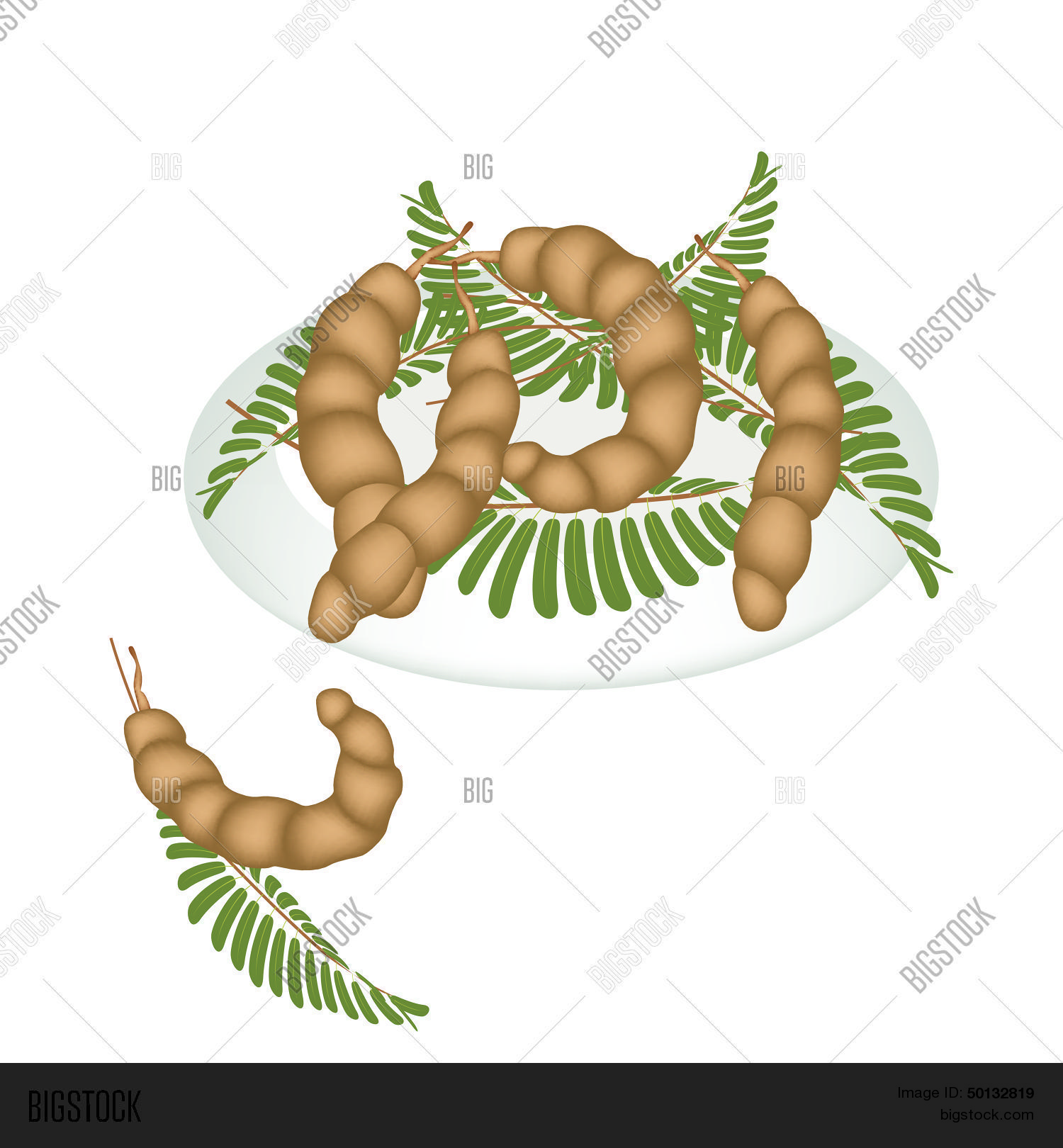 Plate Fresh Tamarind Vector & Photo (Free Trial) | Bigstock