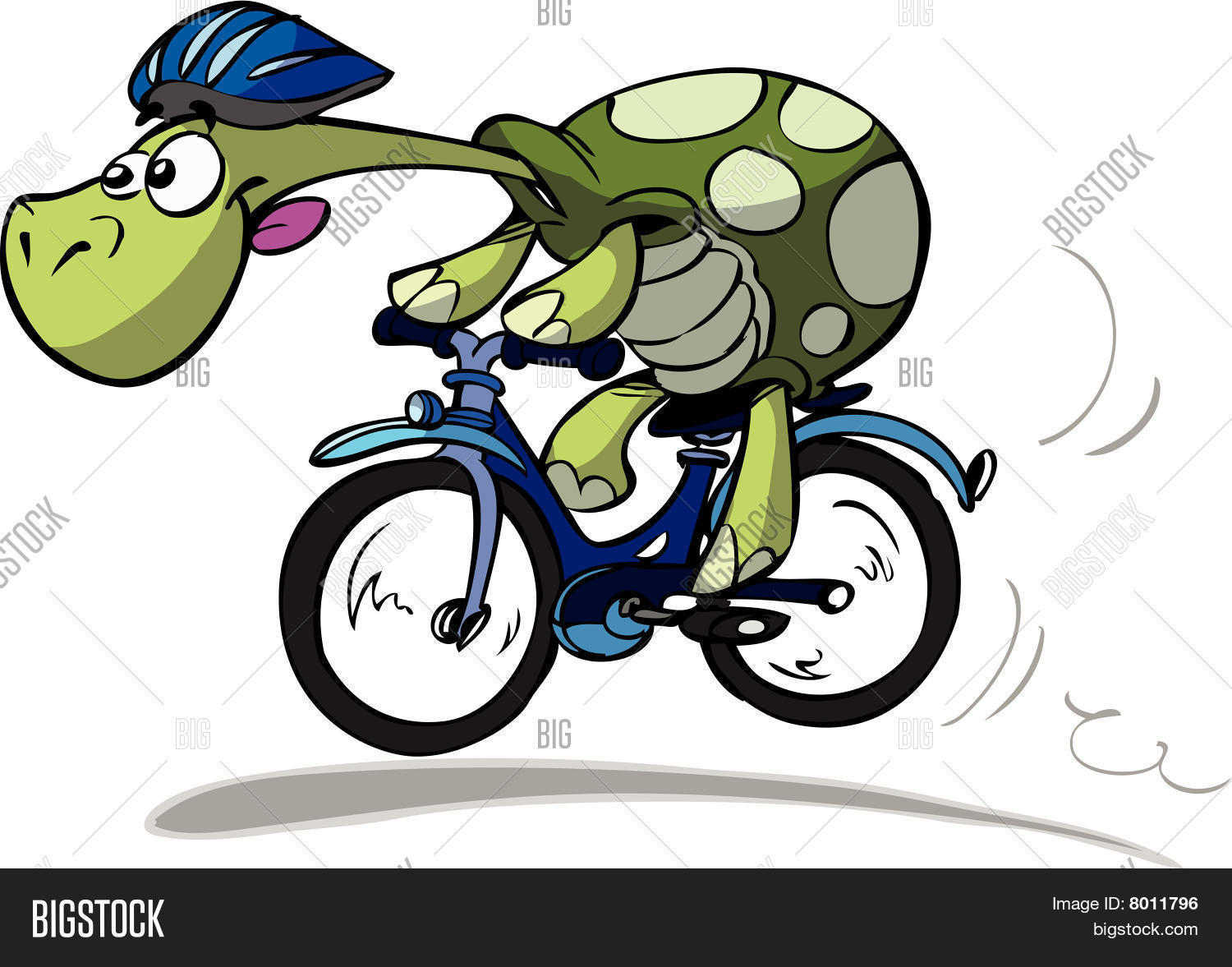 Turtle Cyclist Vector & Photo (Free Trial) | Bigstock