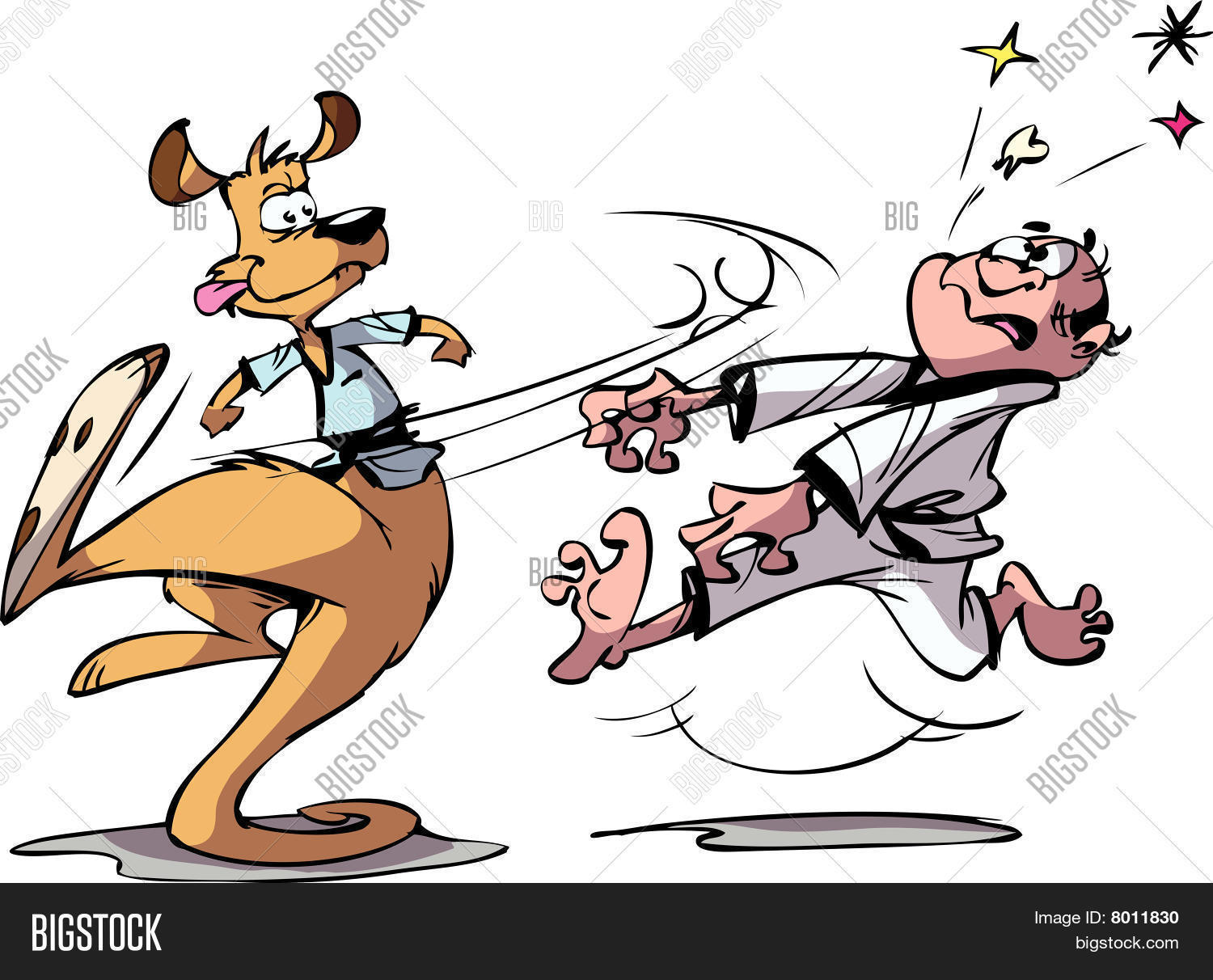 Karate Kangaroo Vector & Photo (Free Trial) | Bigstock
