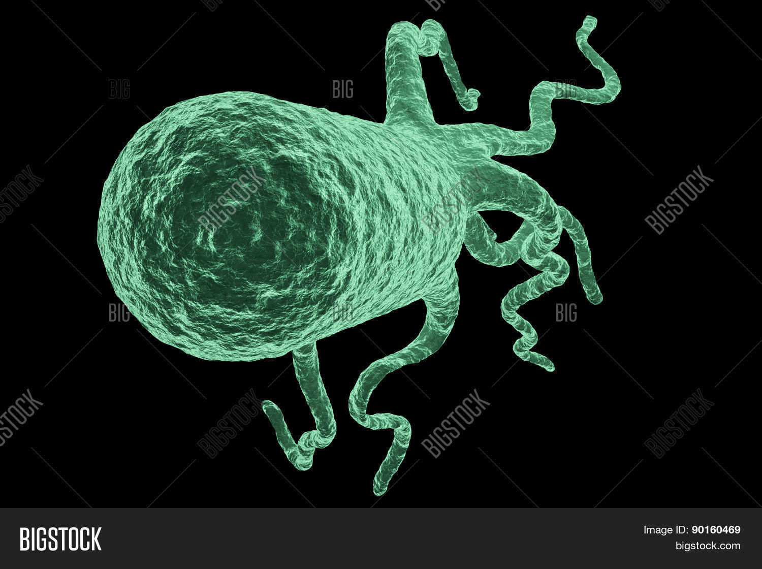 Rod-shaped Bacteria Image & Photo (Free Trial) | Bigstock