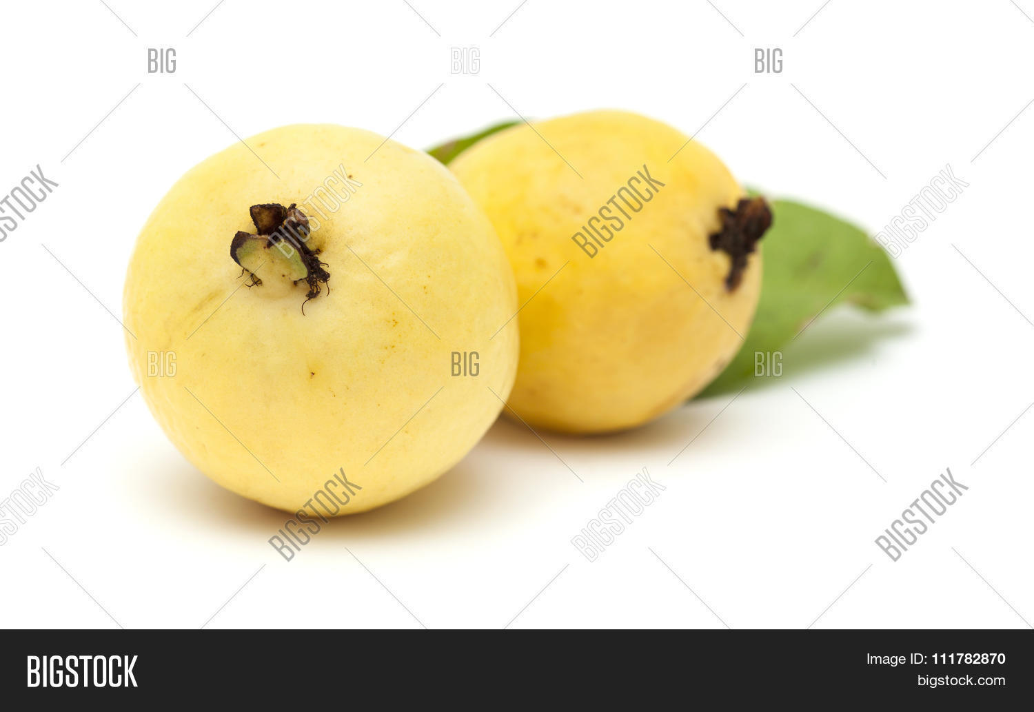 Yellow Guava Fruit Image & Photo (Free Trial) | Bigstock