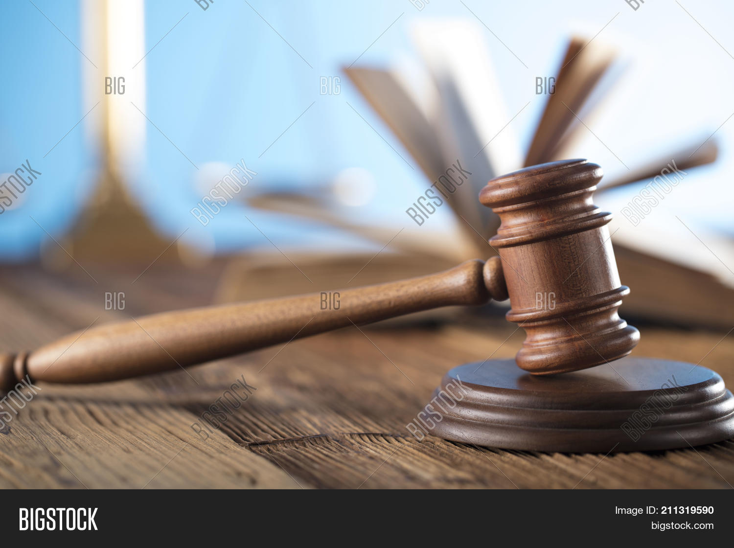 Judge Concept. Mallet Image & Photo (Free Trial) | Bigstock