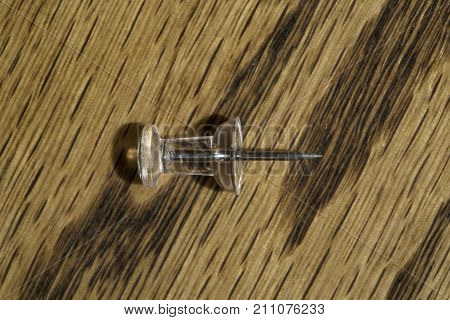 Single Thumb Tack Push Image & Photo (Free Trial) | Bigstock