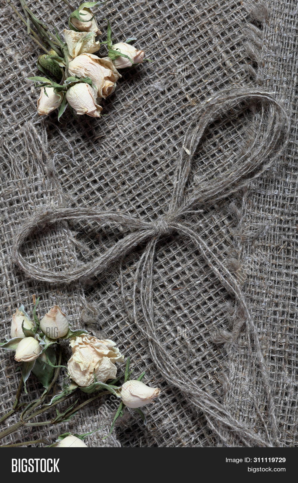 Coarse Linen Fabric. Image & Photo (Free Trial) | Bigstock