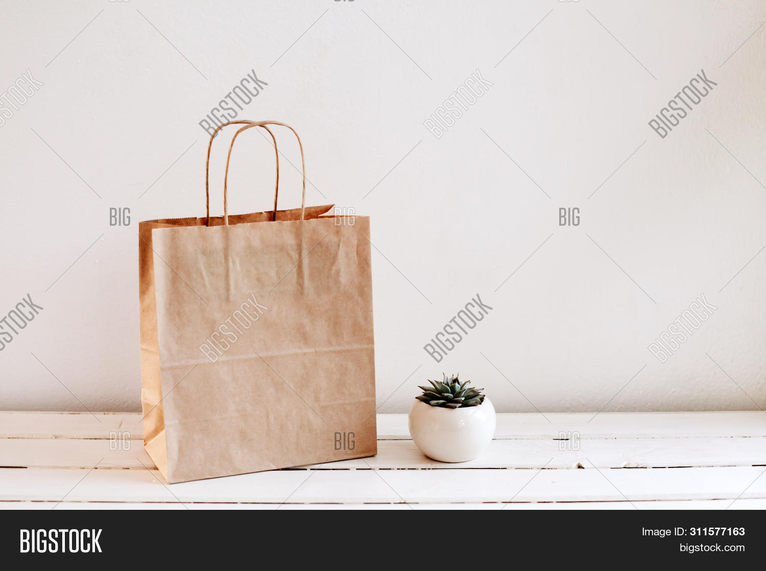 Paper Bag Beautiful Image & Photo (Free Trial) | Bigstock