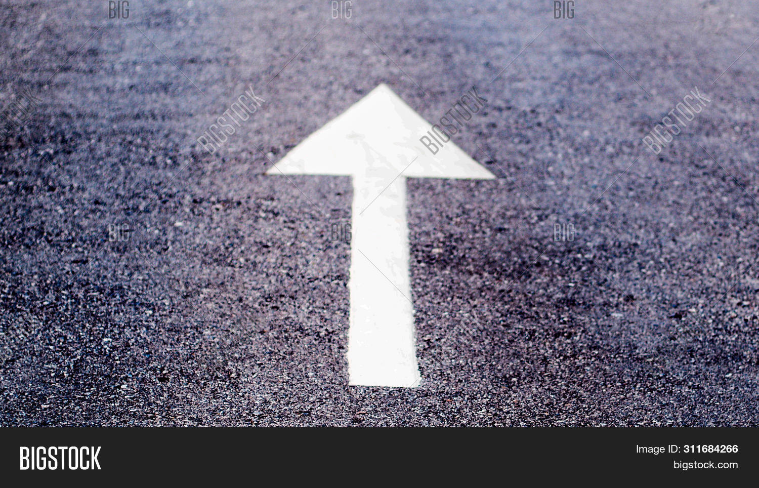 Forward Signs On Road Image & Photo (Free Trial) | Bigstock