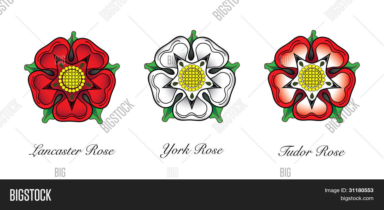 English Rose Emblems. Image & Photo (Free Trial) | Bigstock