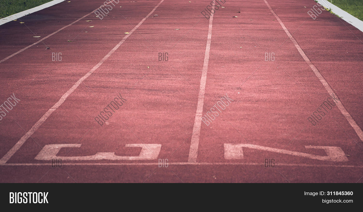 Starting Line On Image & Photo (Free Trial) | Bigstock