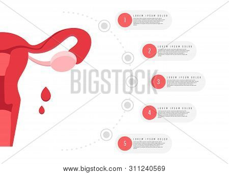Gynecology. Medical Vector & Photo (Free Trial) | Bigstock