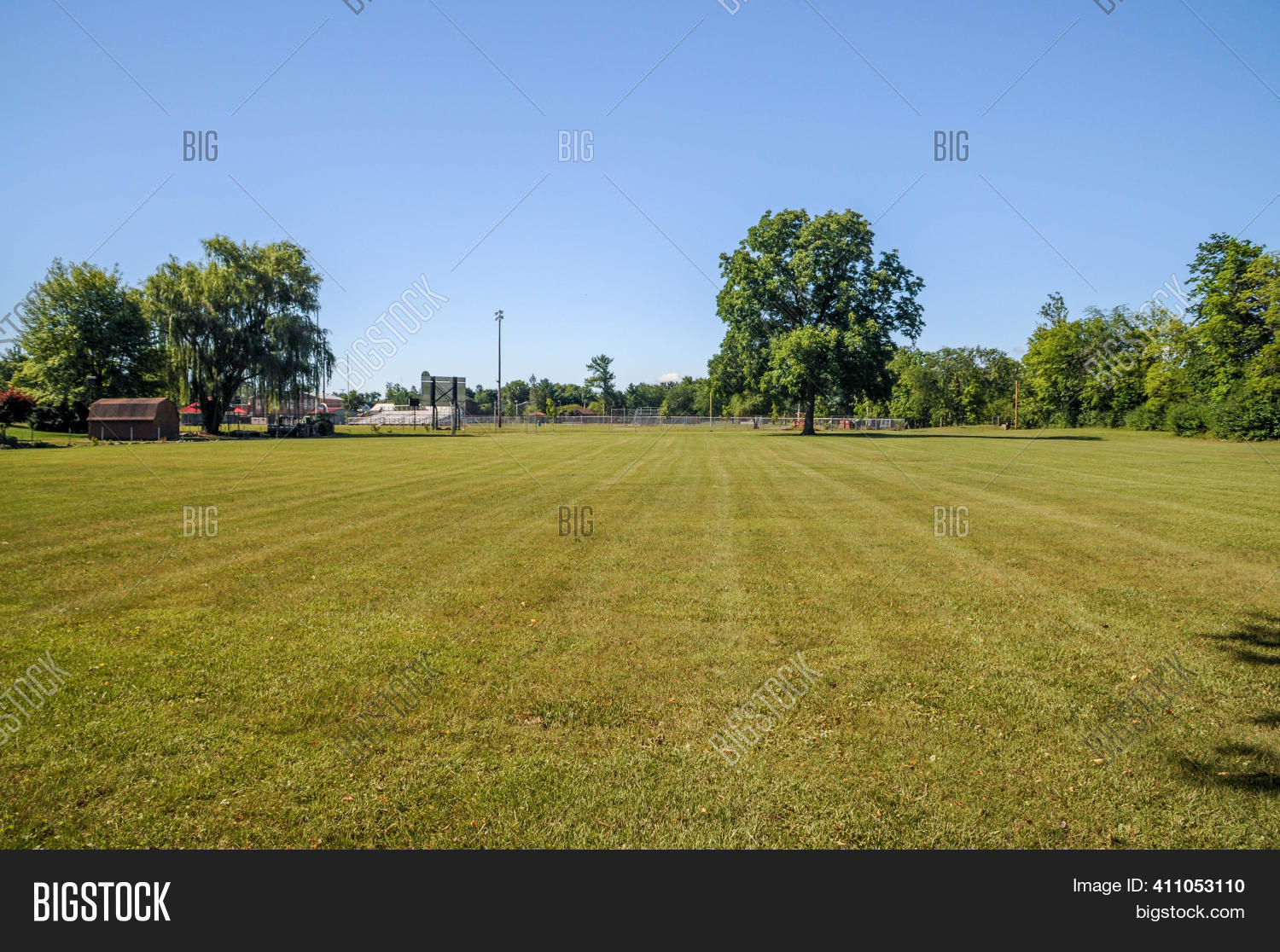Open Grass Field