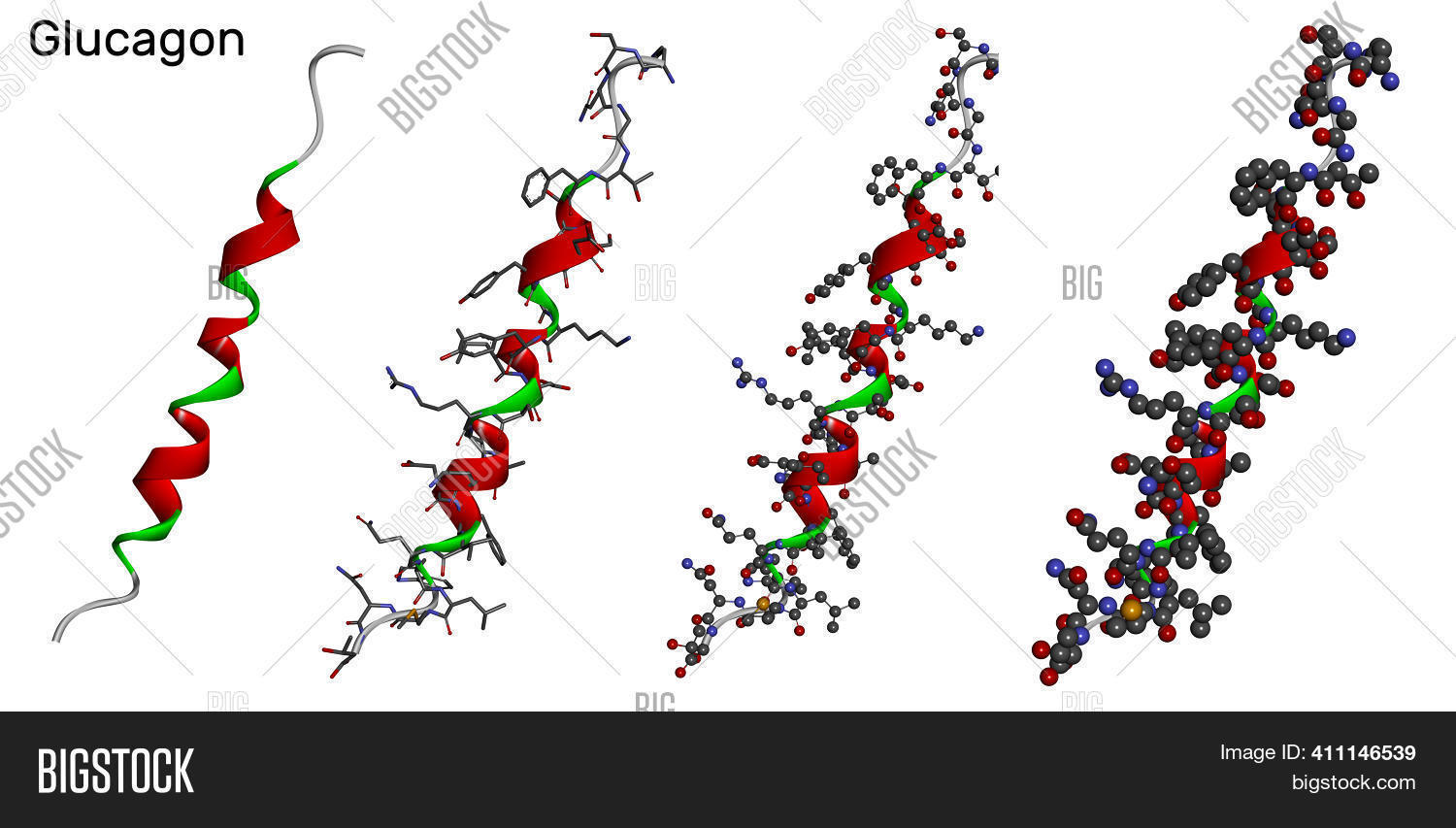 Glucagon Molecule Image & Photo (Free Trial) | Bigstock