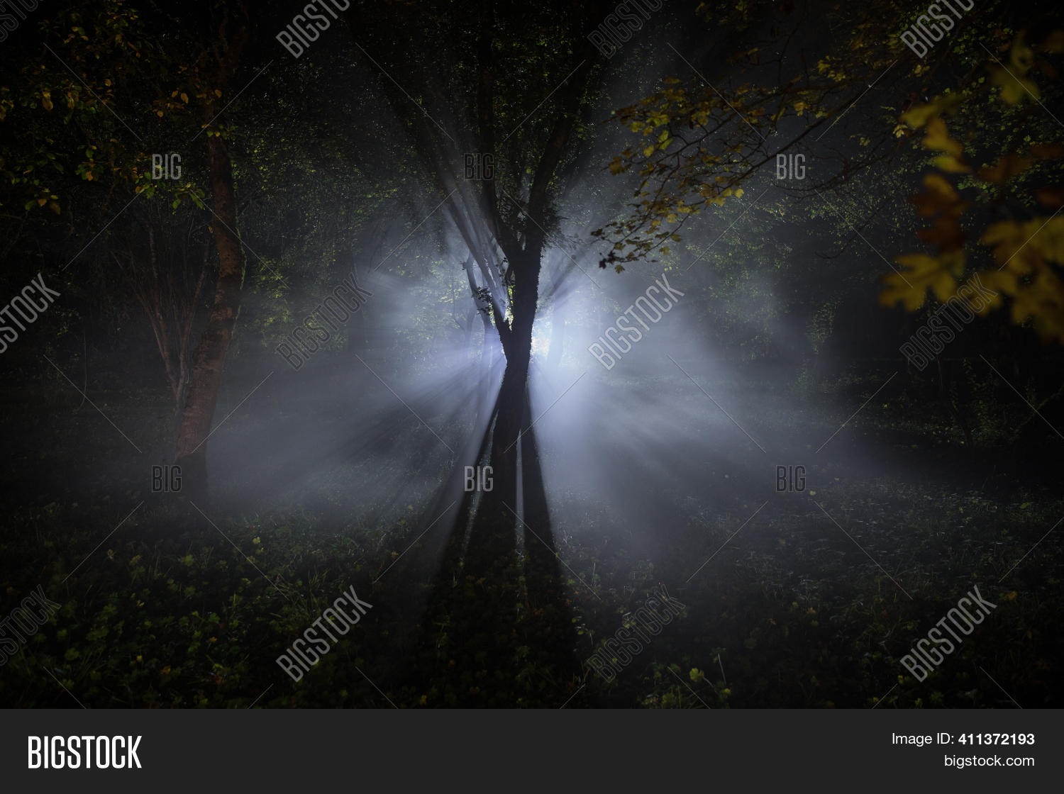 Strange Light Dark Image & Photo (Free Trial) | Bigstock