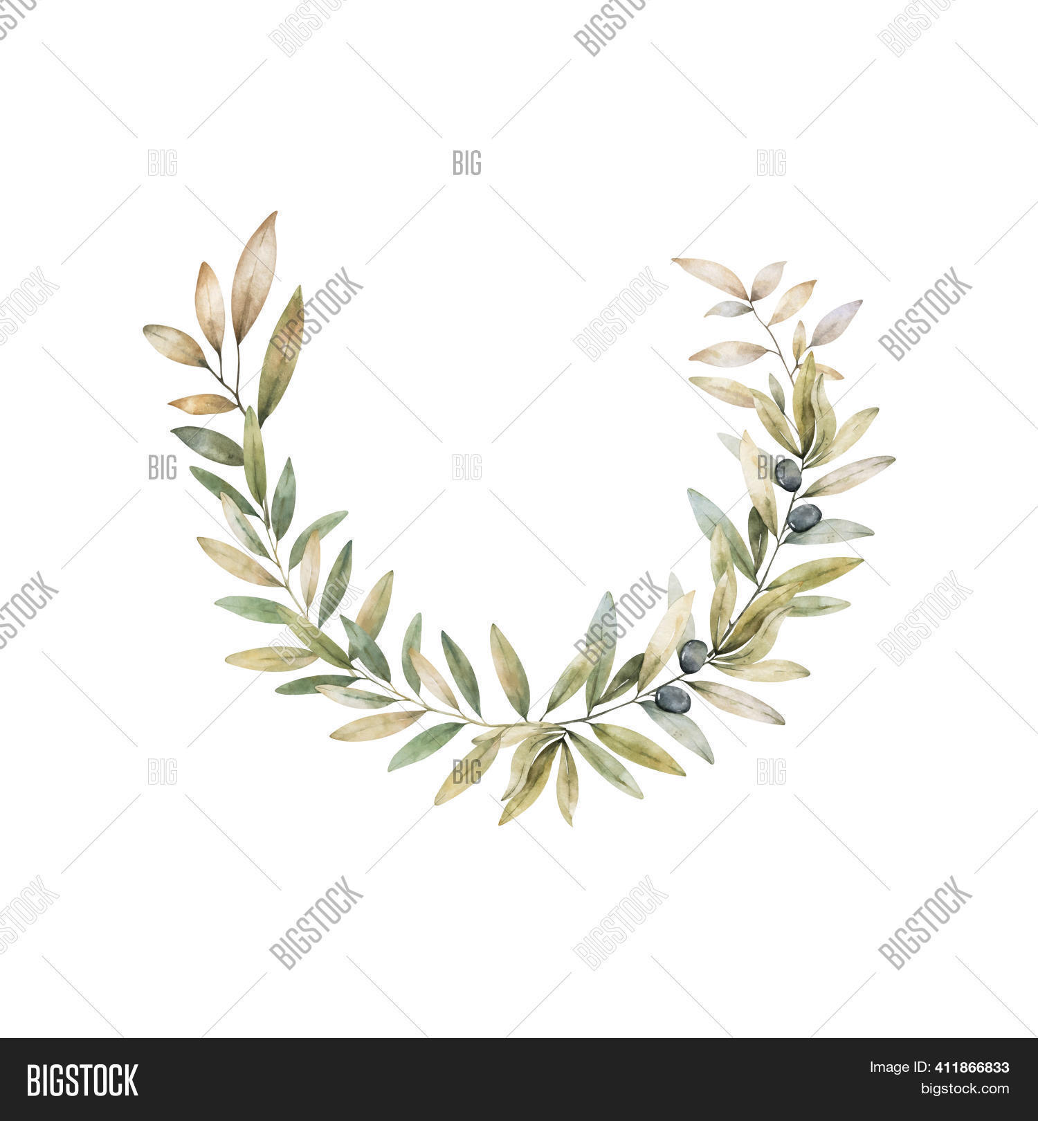 Olive Frame Circle Image & Photo (Free Trial) | Bigstock
