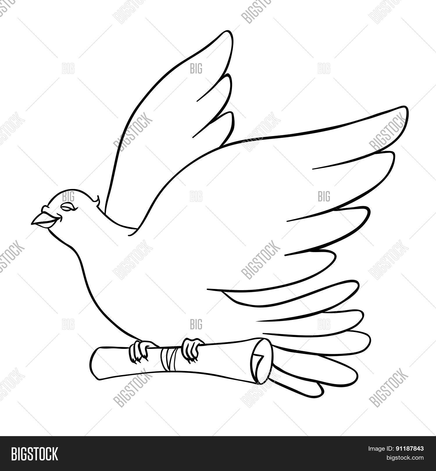 White Dove Message On Vector & Photo (Free Trial) | Bigstock