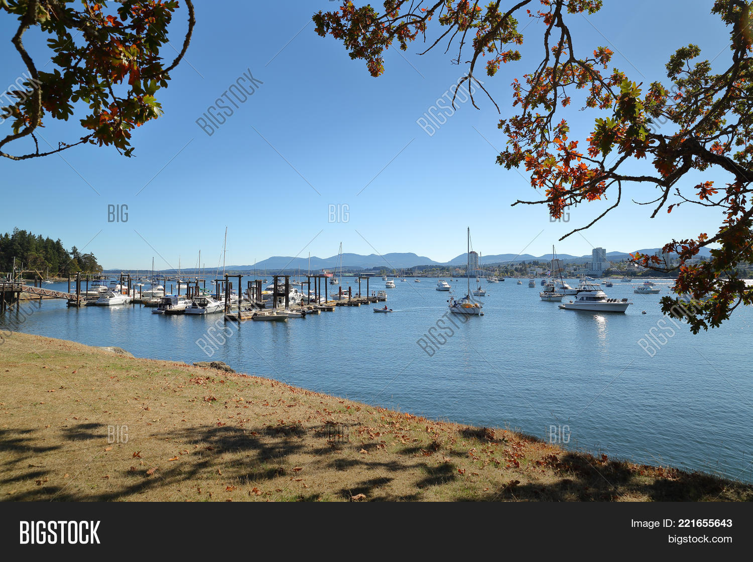 Newcastle Island Image & Photo (Free Trial) | Bigstock