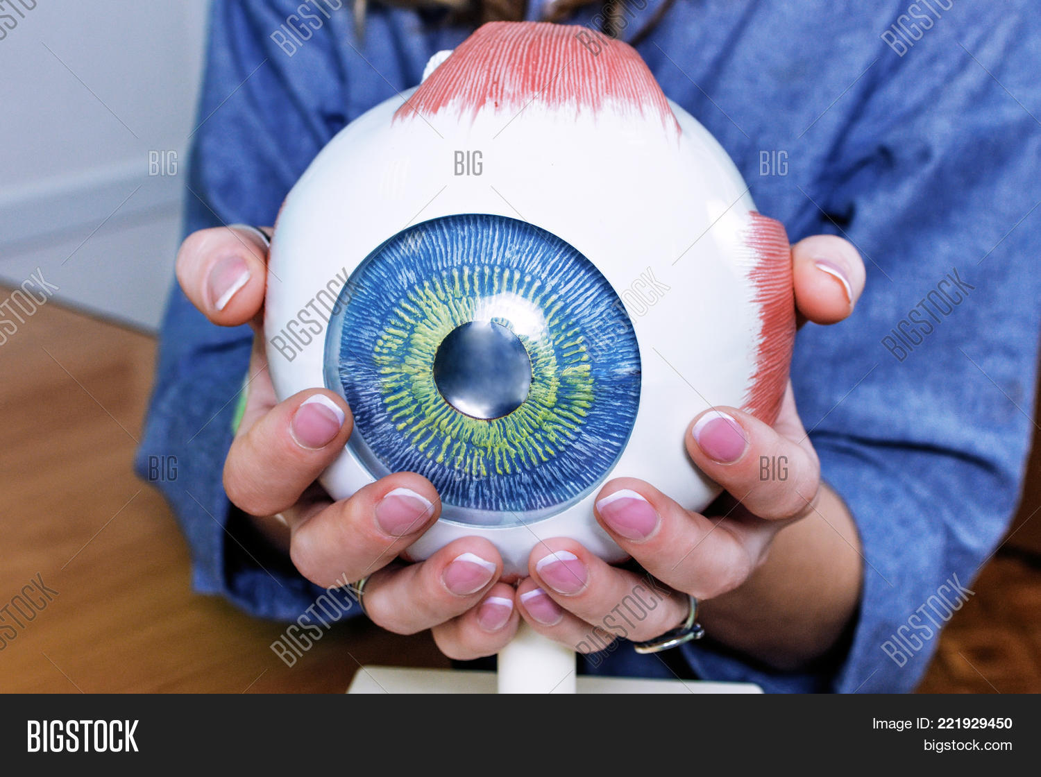 Ophthalmology Oculus Image & Photo (Free Trial) | Bigstock
