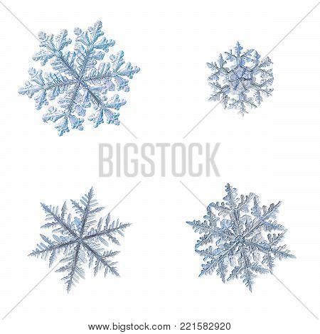 Four Snowflakes Image & Photo (Free Trial) | Bigstock
