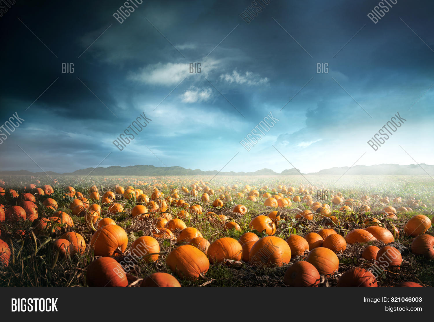 Spooky Halloween Image & Photo (Free Trial) | Bigstock