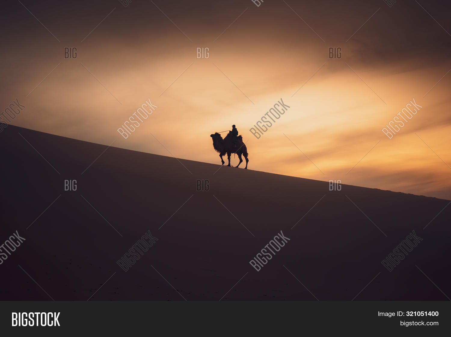 Camel Going Through Image & Photo (Free Trial) | Bigstock