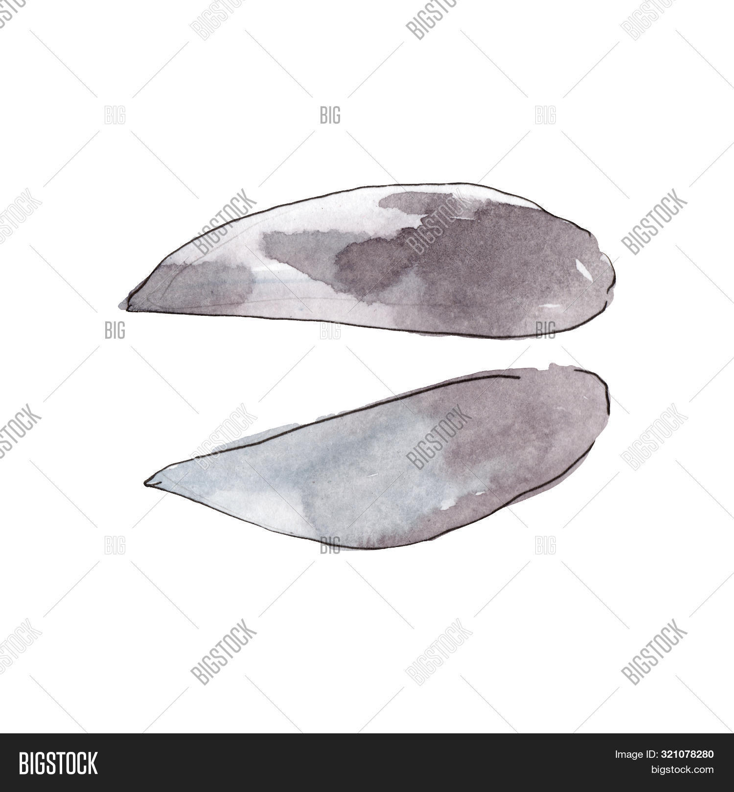 Ram Hoof Farm Animal Image & Photo (Free Trial) | Bigstock