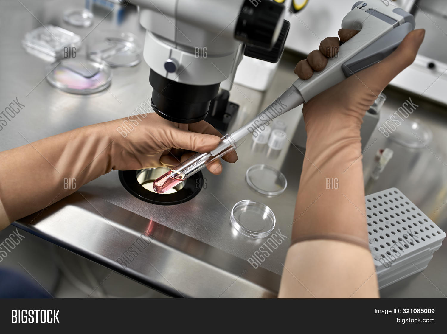 Process Vitro Image & Photo (Free Trial) | Bigstock